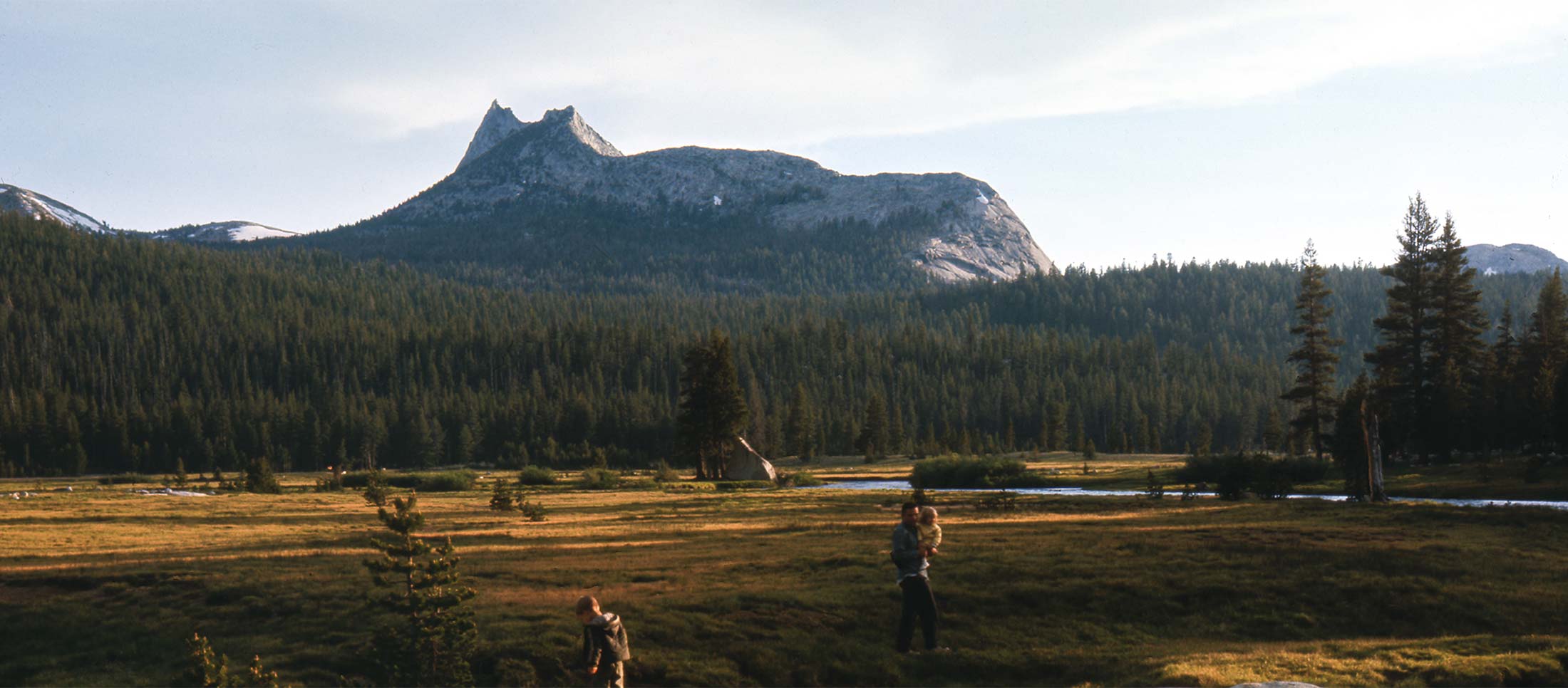 Plan Now - See Yellowstone